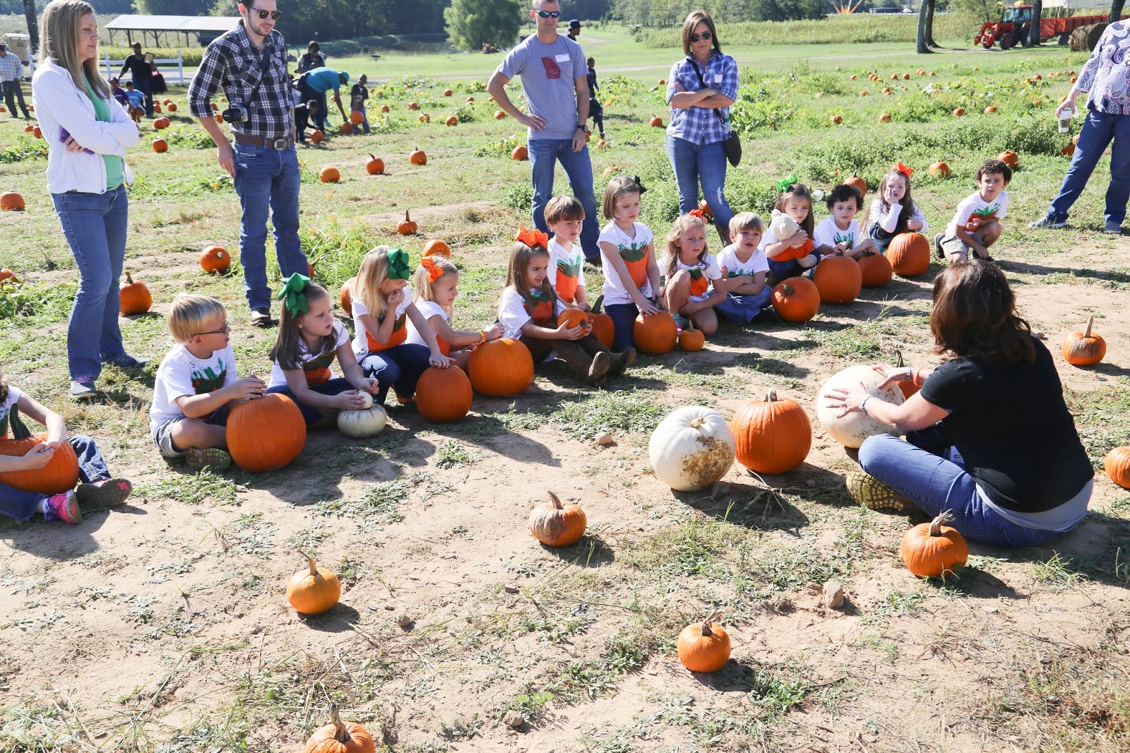 ♥This road called life♥: Pumpkin patch field trip :)