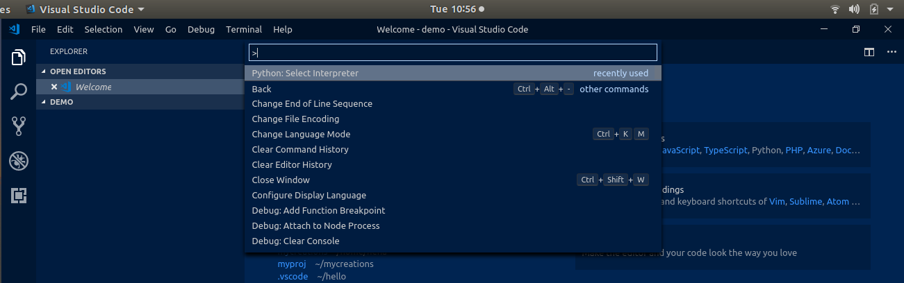 Beginner's Guide: Python in Visual Studio Code (For Ubuntu)