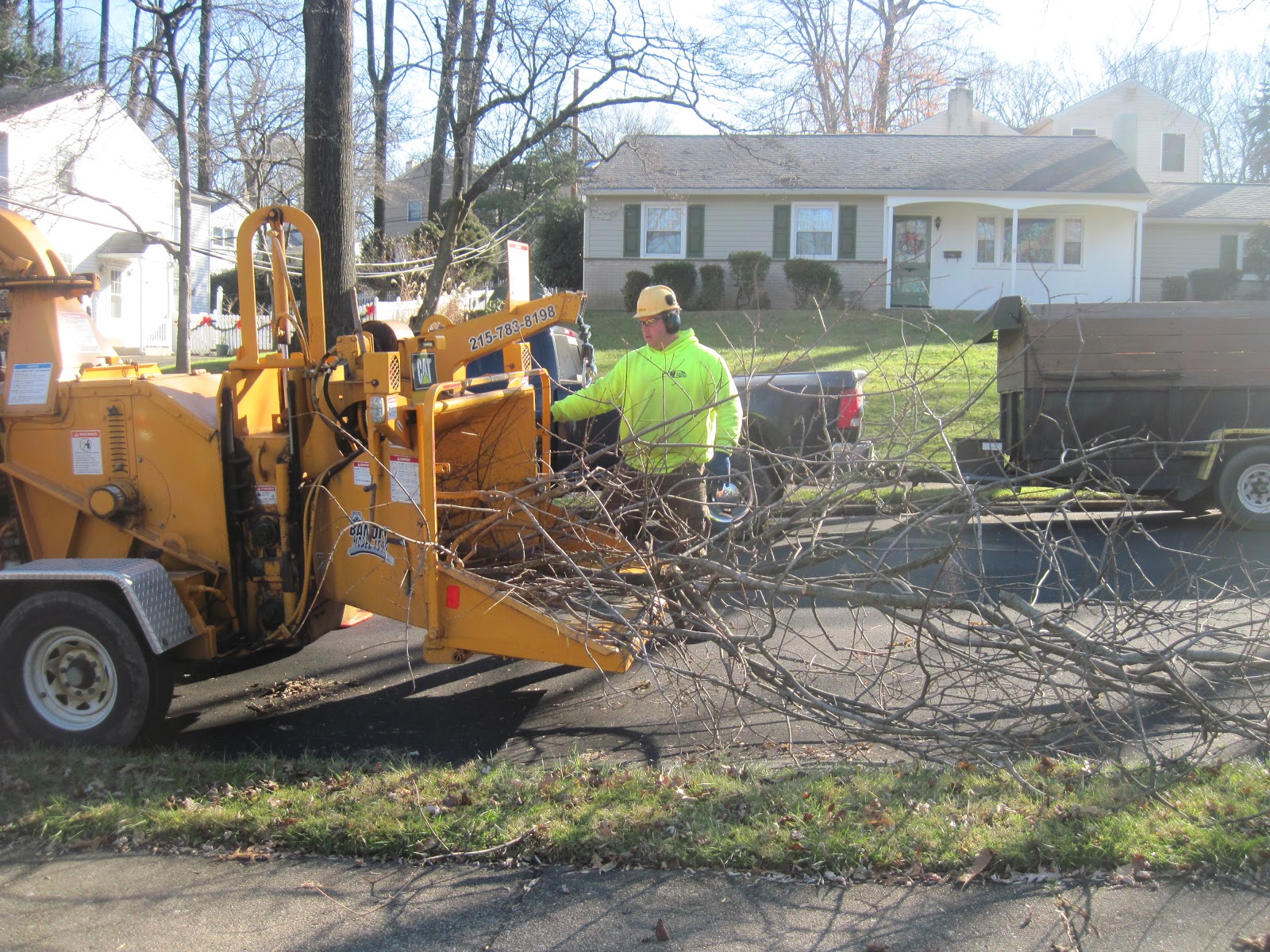The Belle of Cowbell: The Bipolar Therapist from Willow Grove, PA: Tree ...