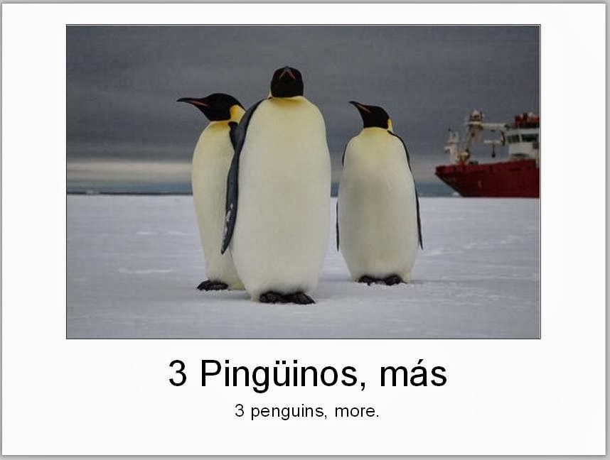 Chapel Hill Snippets: Pingüinos, Pingüinos--Penguin Counting book in ...