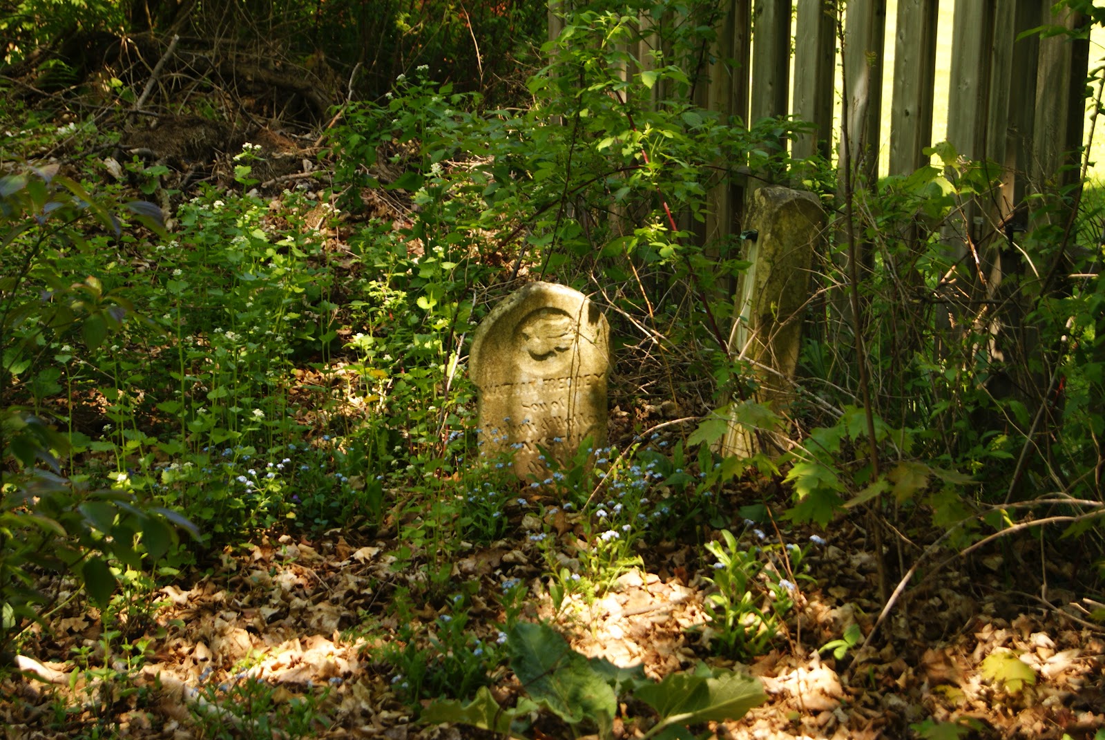 The Jolly Taphophile (Graveyard Junkie): Kilbride Pioneer Cemetery ...