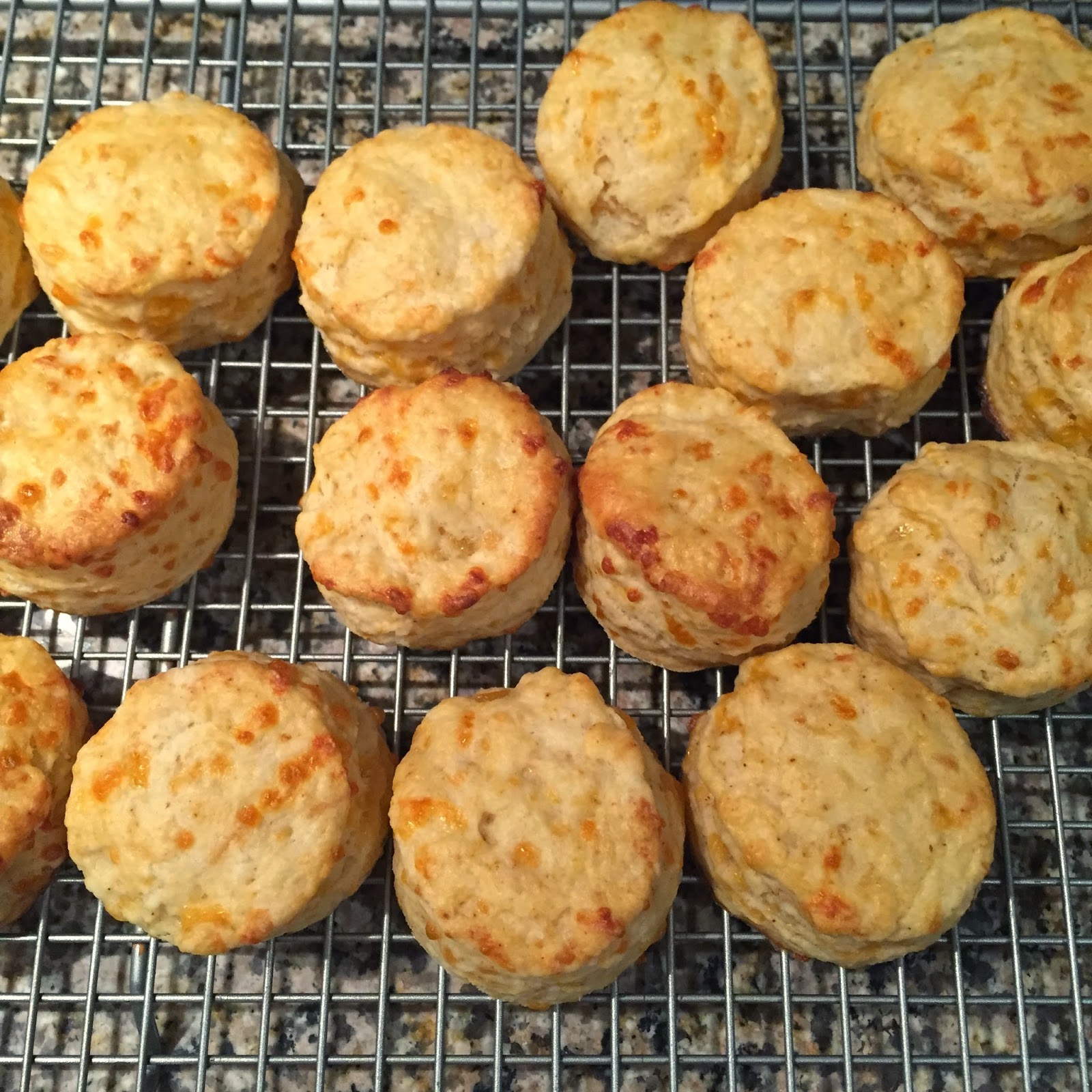 Happy Go Marni: Cheesy Cheddar Biscuits and an Unapologetically Cheesy ...