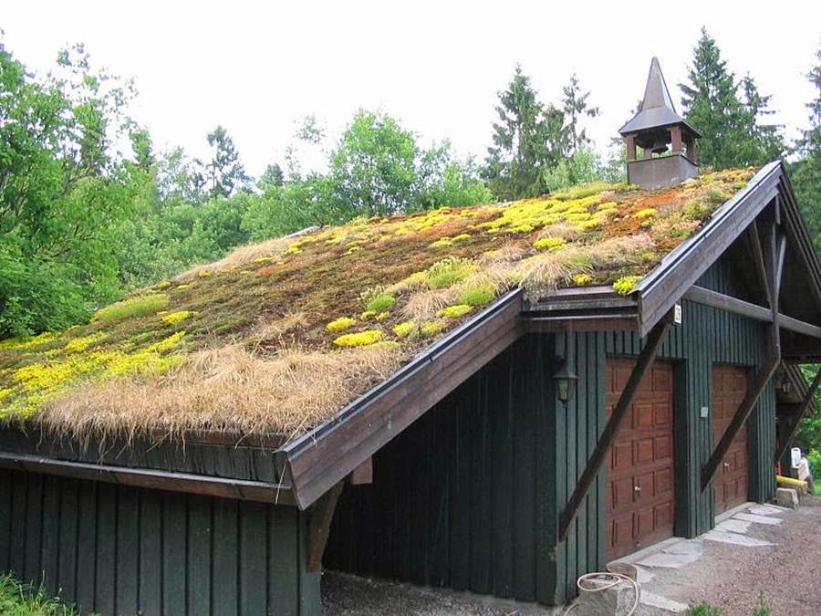 Mail2Day: Go Green | Traditional Grass Roofs of Norway (21 pics)