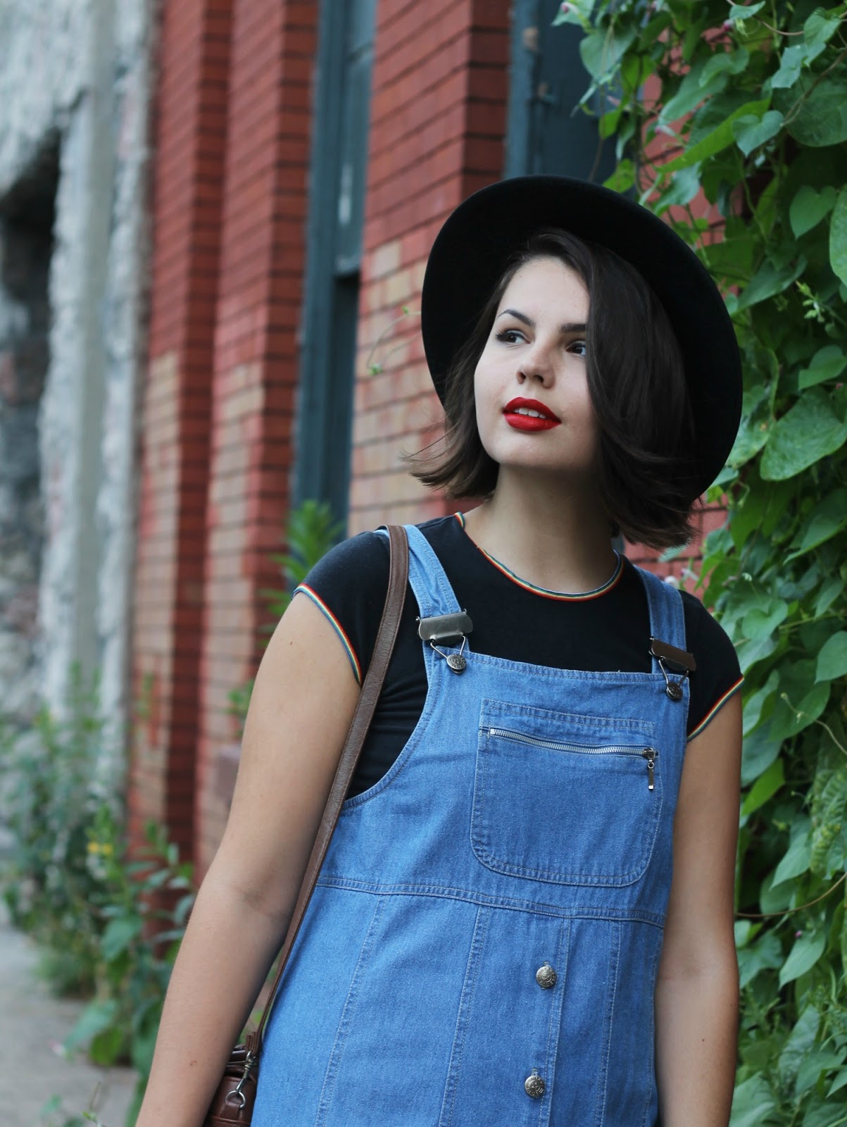 Denim Overall Dress. | Passing Whimsies