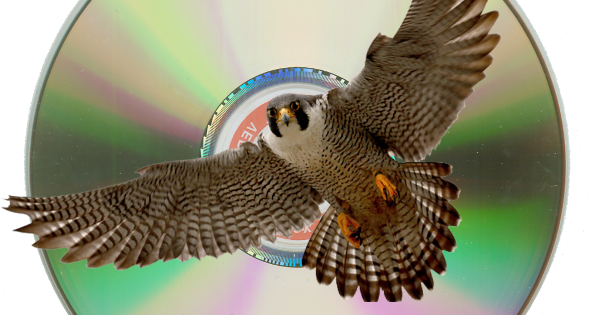 C++ : Nuestro Primer Aplicativo con Falcon C++ | C++