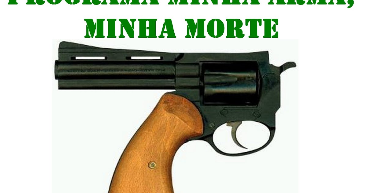 LIBERAÇÃO DO PORTE DE ARMAS SERÁ UM TIRO PELA CULATRA