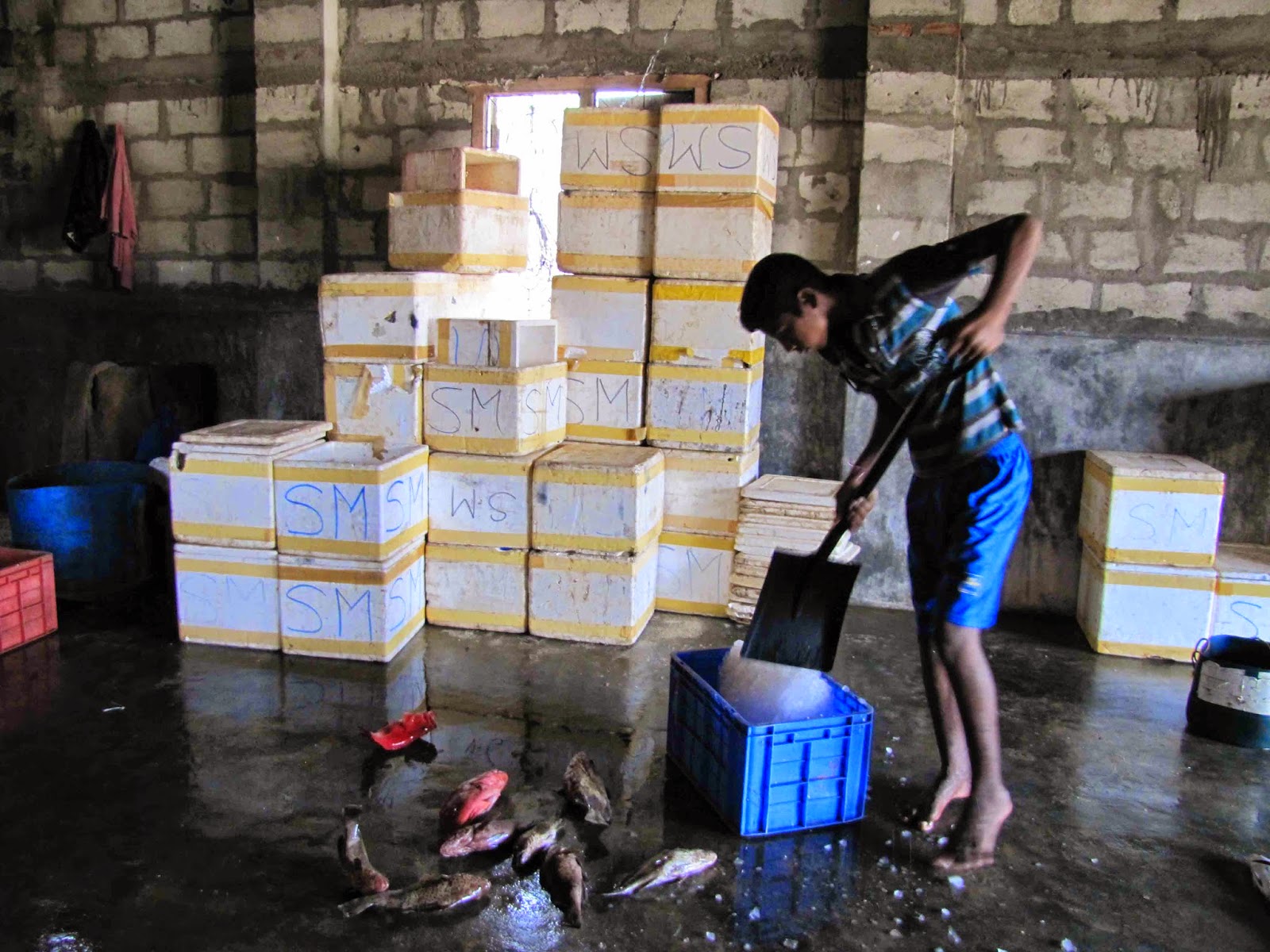 Sri Lanka Tour Packages. Vacation Packages