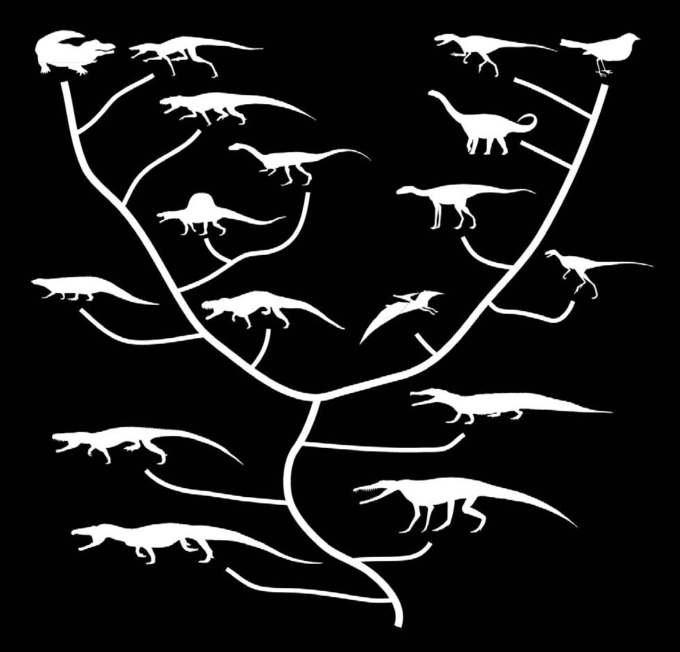 The Forgotten Archosaurs: The Early Evolution of Archosaurs