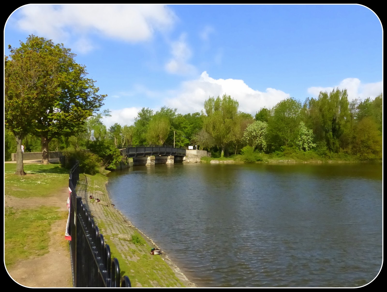 Birding For Pleasure: Victoria Park, Belfast (Part 1)