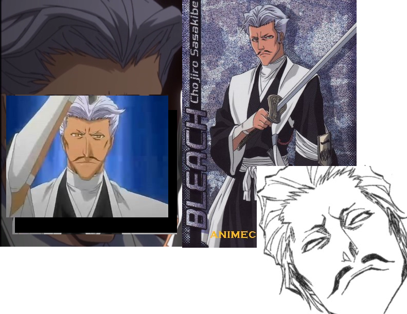 Bleach Wallpapers: lieutenant of the 1st Division, Chojiro