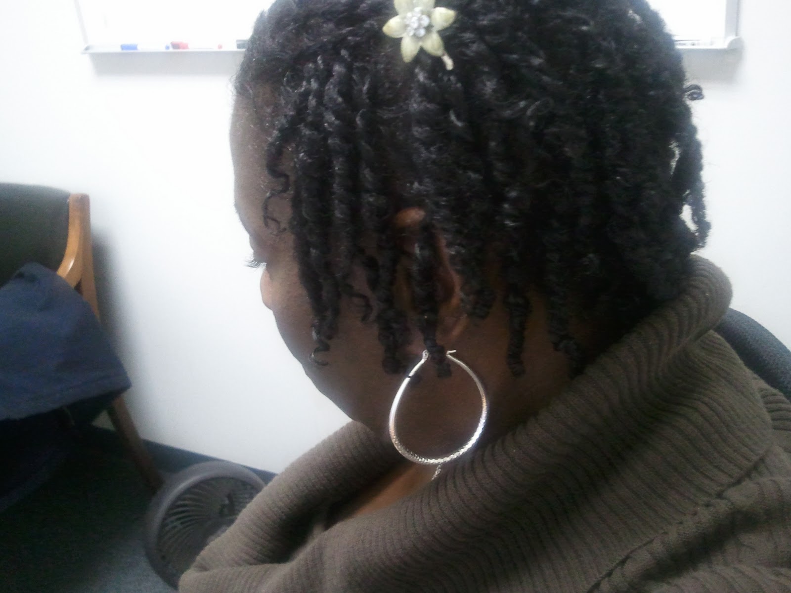 Vetsnatural Hair Blog: Dye & 2 Strand Twists at 4:30AM.....I Need a Nap ...