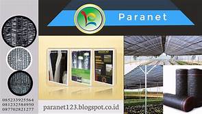 Paranet Itu Apa? Kalau Anda Belum Tahu, Baca Artikel Ini