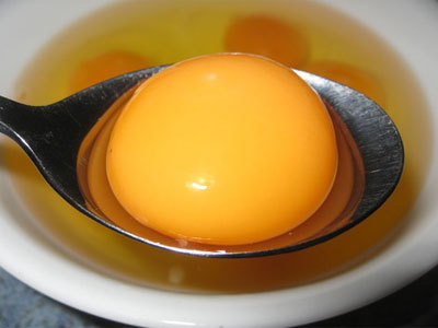 Khasiat Dan Manfaat Kuning Telur Meningkatkan Kecerdasan Otak