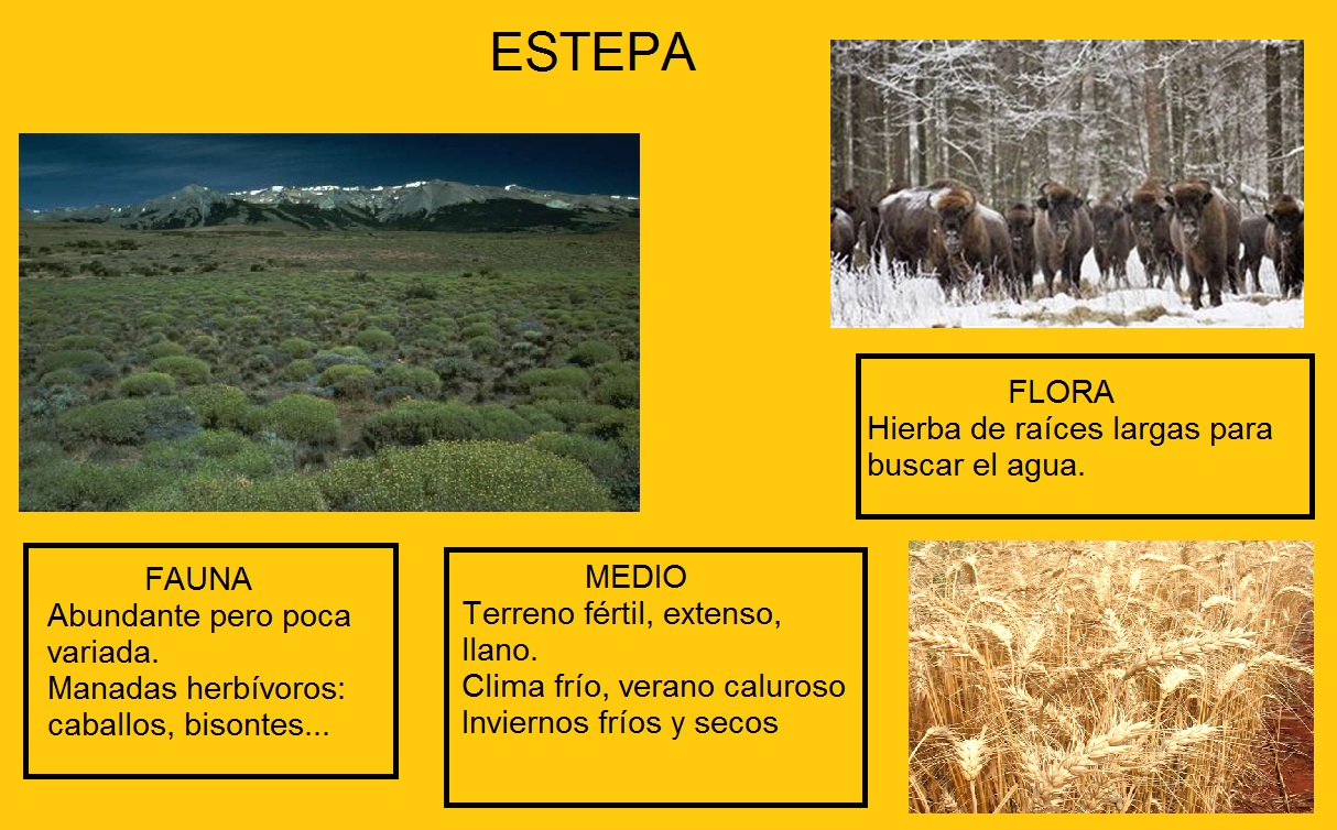 MITOLGINATURAL: LOS ECOSISTEMAS