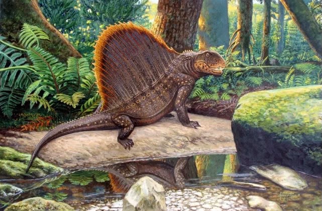 Mundo Pré-Histórico: Dimetrodonte, o "lagarto" com vela
