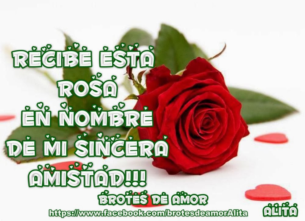 Brotes de Amor: UNA ROSA POR TU AMISTAD