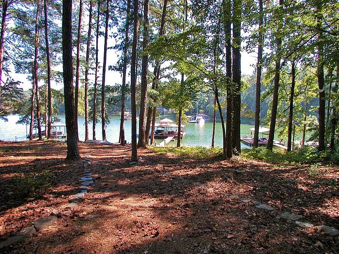 Lake Sidney Lanier Homes Blog: The Scenic Little Cottage At Cove Trail ...