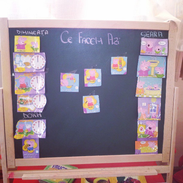 Programul zilei - Ama Nicolae