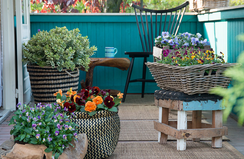 Depósito Santa Mariah: Cores No Quintal!