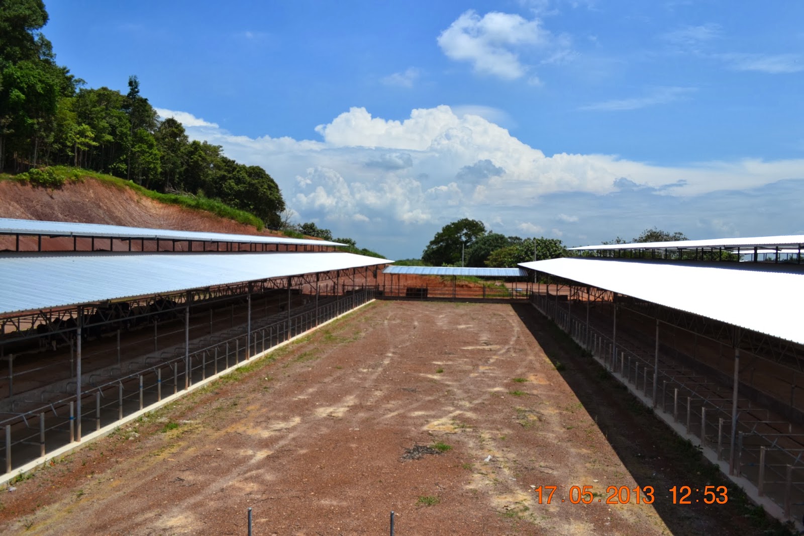 Dairy Farm Equipment - Manure Handling : Dairy Farm Sample Photos with ...