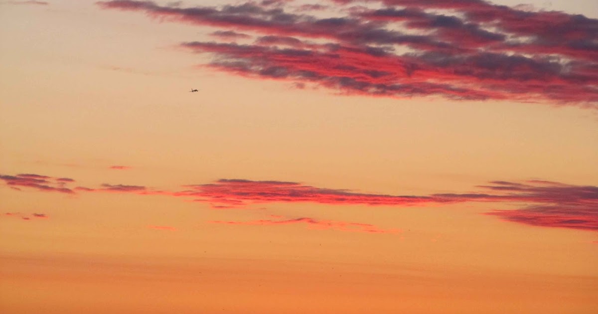 Tell Me a Story: Status Check