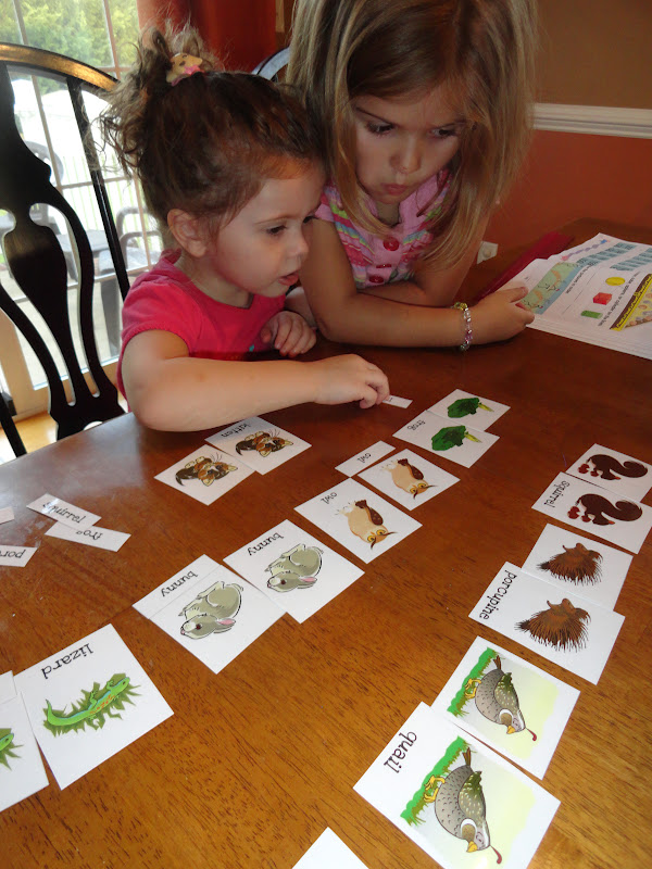 Izzie, Mac and Me: The ABC Bunny