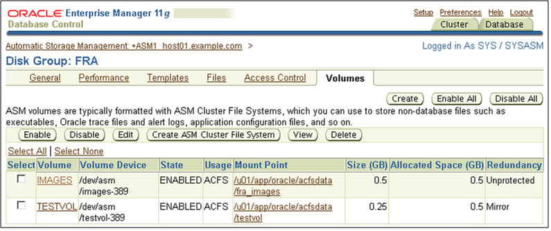 Oracle Rac Creating An Acfs Volume