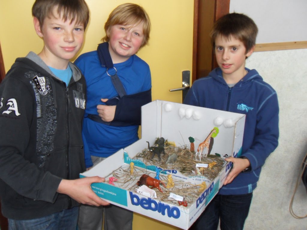 Het Klimtouw: Kijkdozen