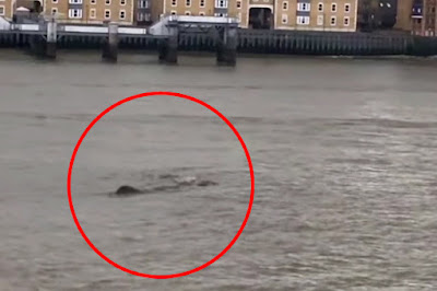 Please enable JavaScript