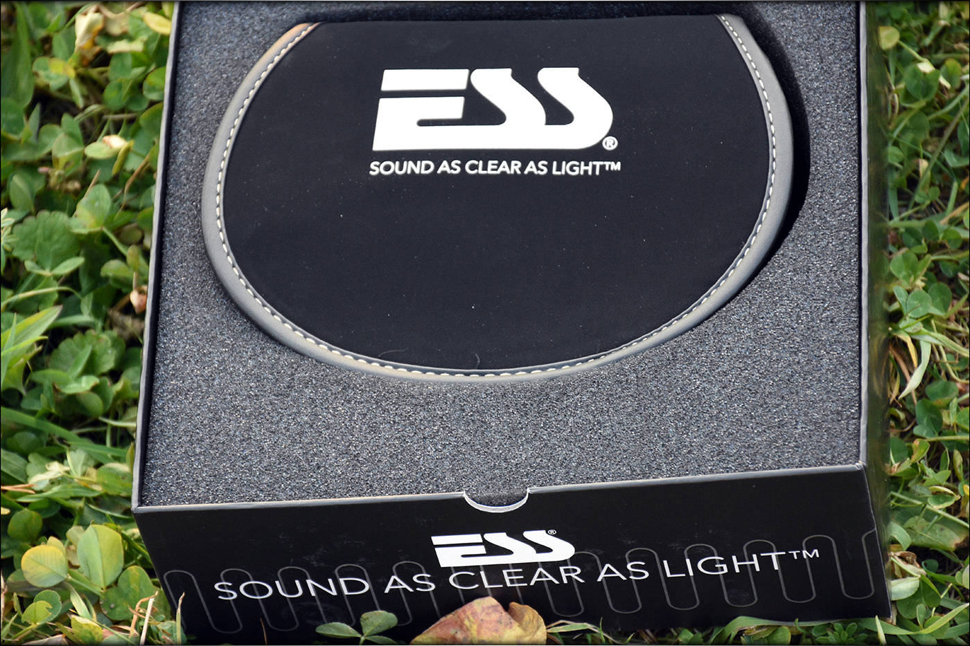 ESS 422H Headphones - Reviews | Headphone Reviews and Discussion - Head ...
