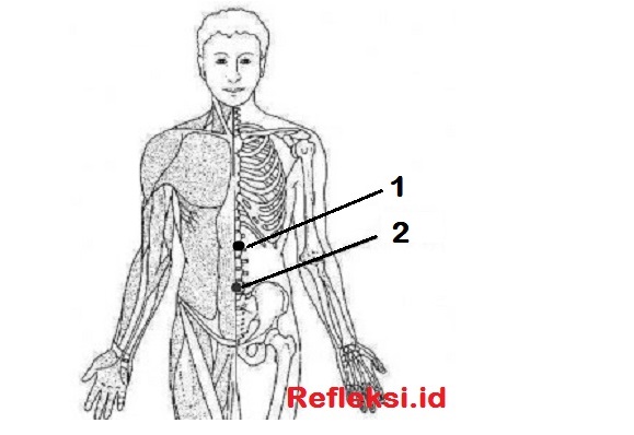 Tak perlu Kerokan... Pijat Bagian Ini Dijamin Masuk Angin, Sakit Kepala ...