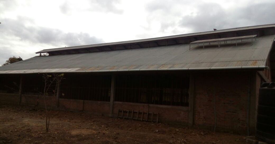 ARUSHA KUKU FARM: SIFA ZA BANDA BORA LA KUKU