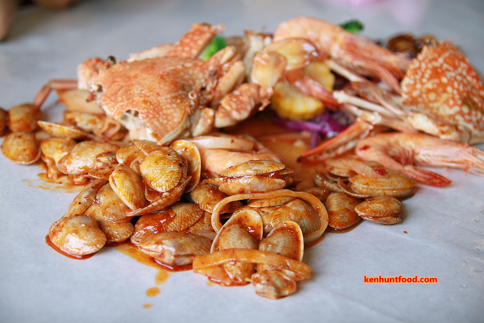 shell out fizzy cafe - Dylan Nolan