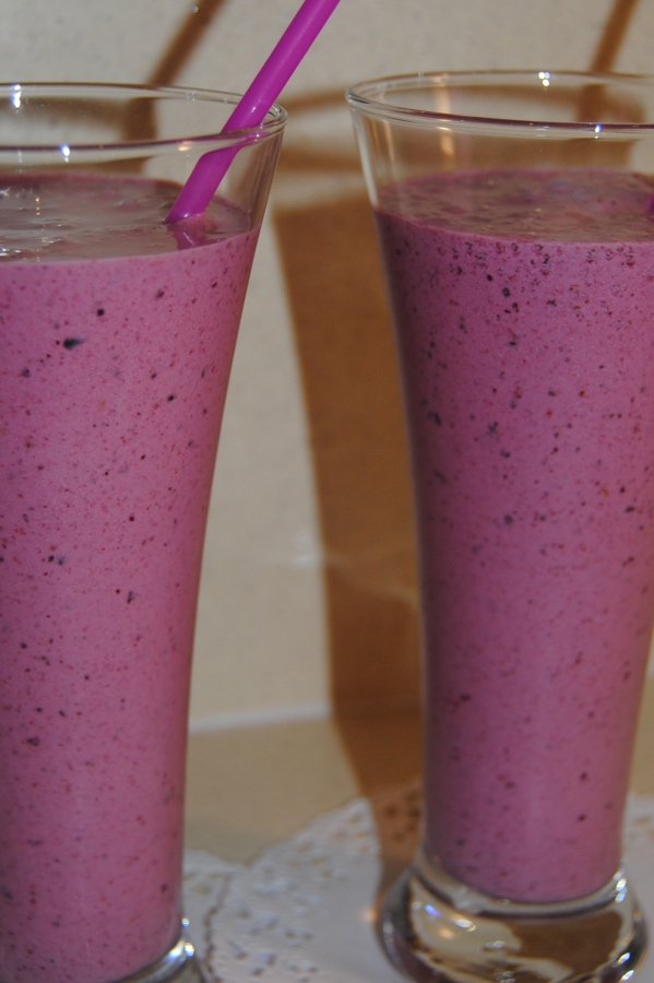 ENSUCRAT: BATUT DE FRUITES DEL BOSC