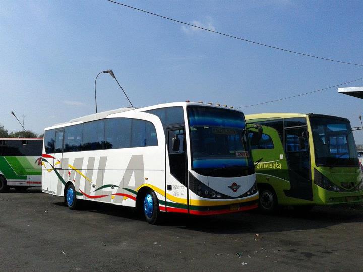 Bus Patas Mila Sejahtera Marcopolo Malang Probolinggo | Puramoz Shared