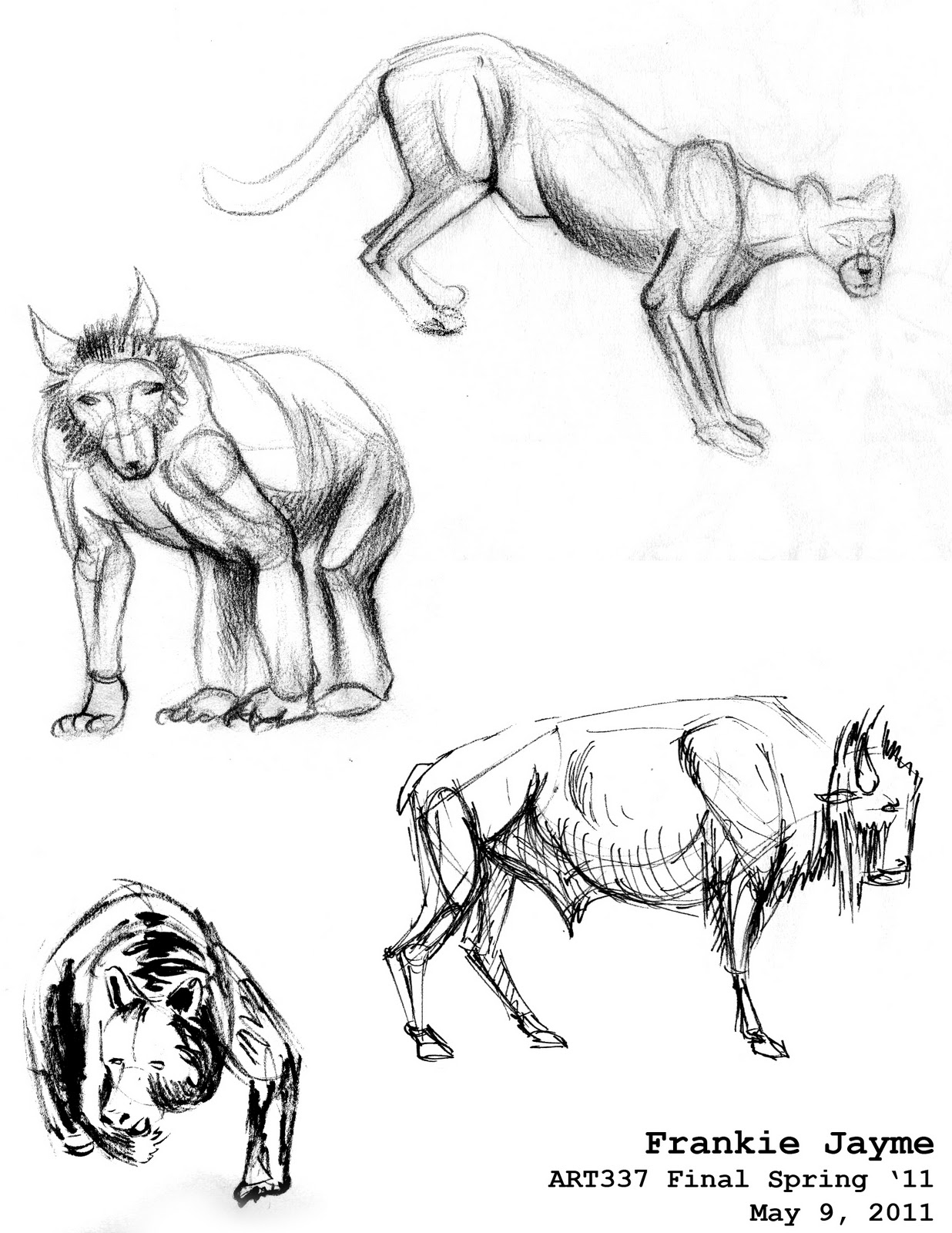 Frankie Jayme: ART 337 - Animal & Wildlife Drawings