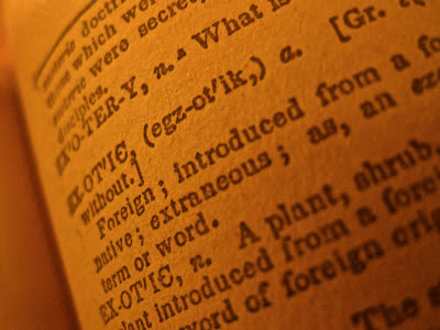 Beauty, and What It Means: Thoughts on a Word: Exotic