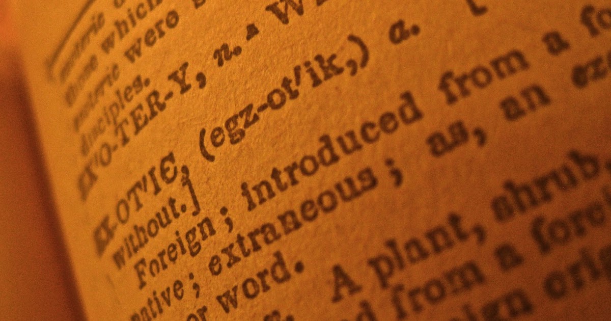 Beauty, and What It Means: Thoughts on a Word: Exotic