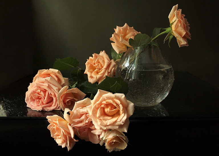 panessa: still life roses