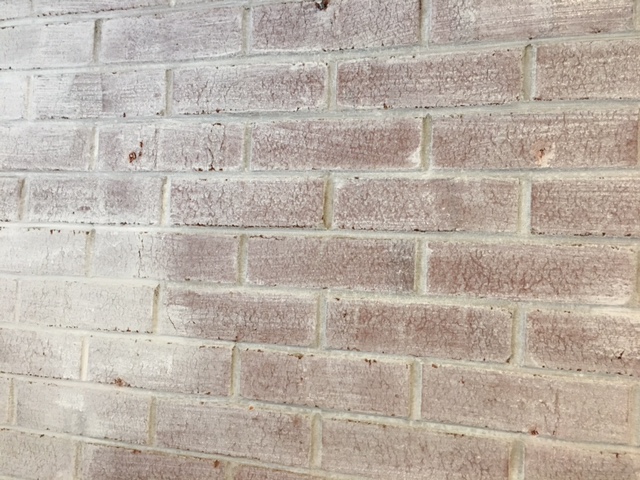 Sparkles and Lattes: DIY - How to Whitewash a Brick Wall