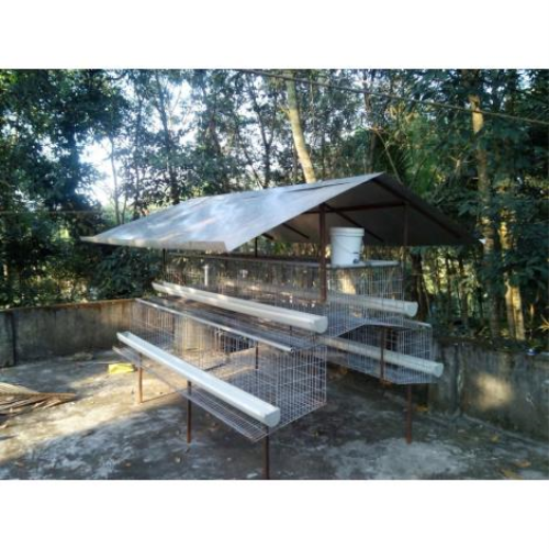 High Tech Poultry cage manufacturers in kerala