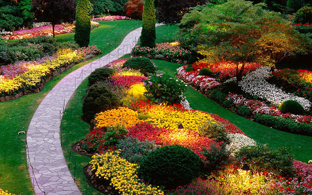 Galery Foto Taman Bunga yang Indah | Punky Flowers Blog