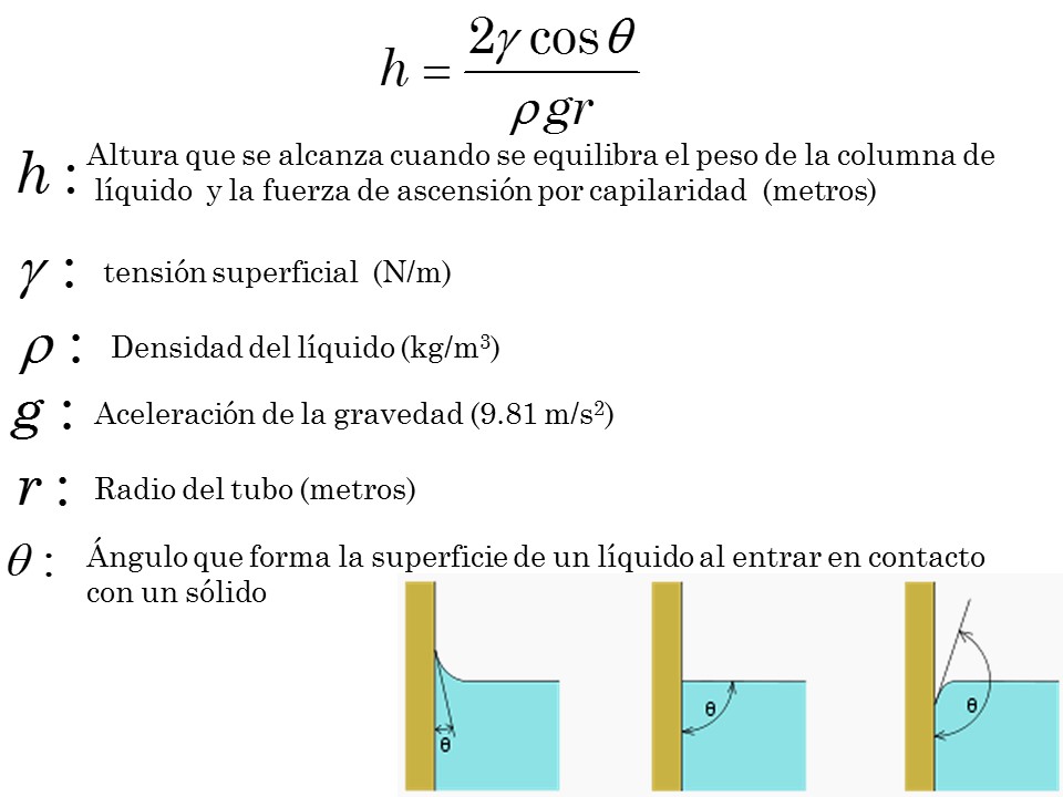 Física: Presentación Capilaridad
