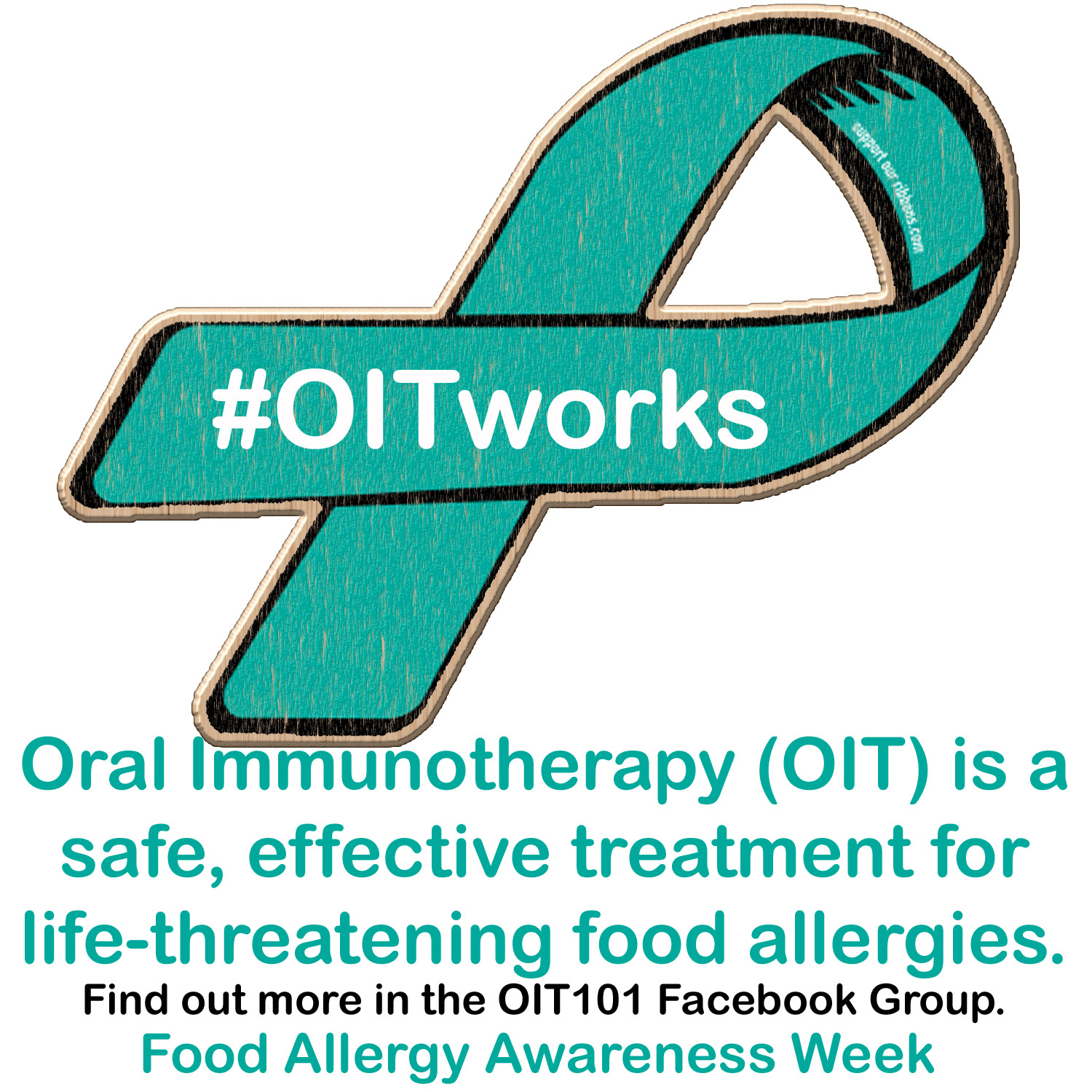 Fed Up: Our Food Allergy Oral Immunotherapy Journey: A Food Allergy ...