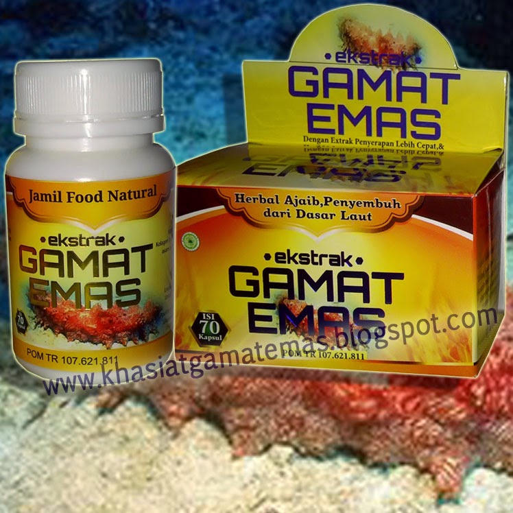 KAPSUL EKSTRAK TERIPANG LAUT GAMAT EMAS: Kapsul Ekstrak GAMAT EMAS ...