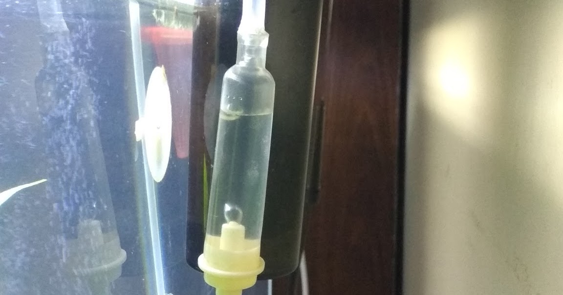 DIY Bubble Counter CO2