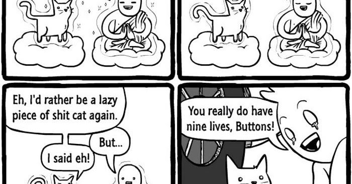 The Lonely Libertarian: Cats explained