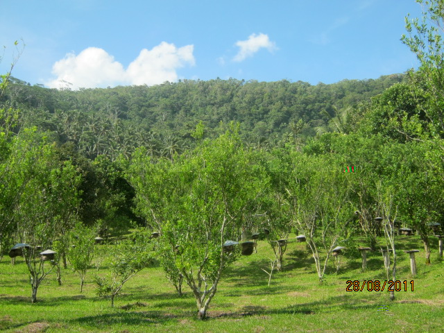 Majestic Caldera Our Valley of Irosin: Tourism and Historical hotspots