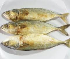 MEMBUAT IKAN PEDA | Informasi Penyuluhan Perikanan