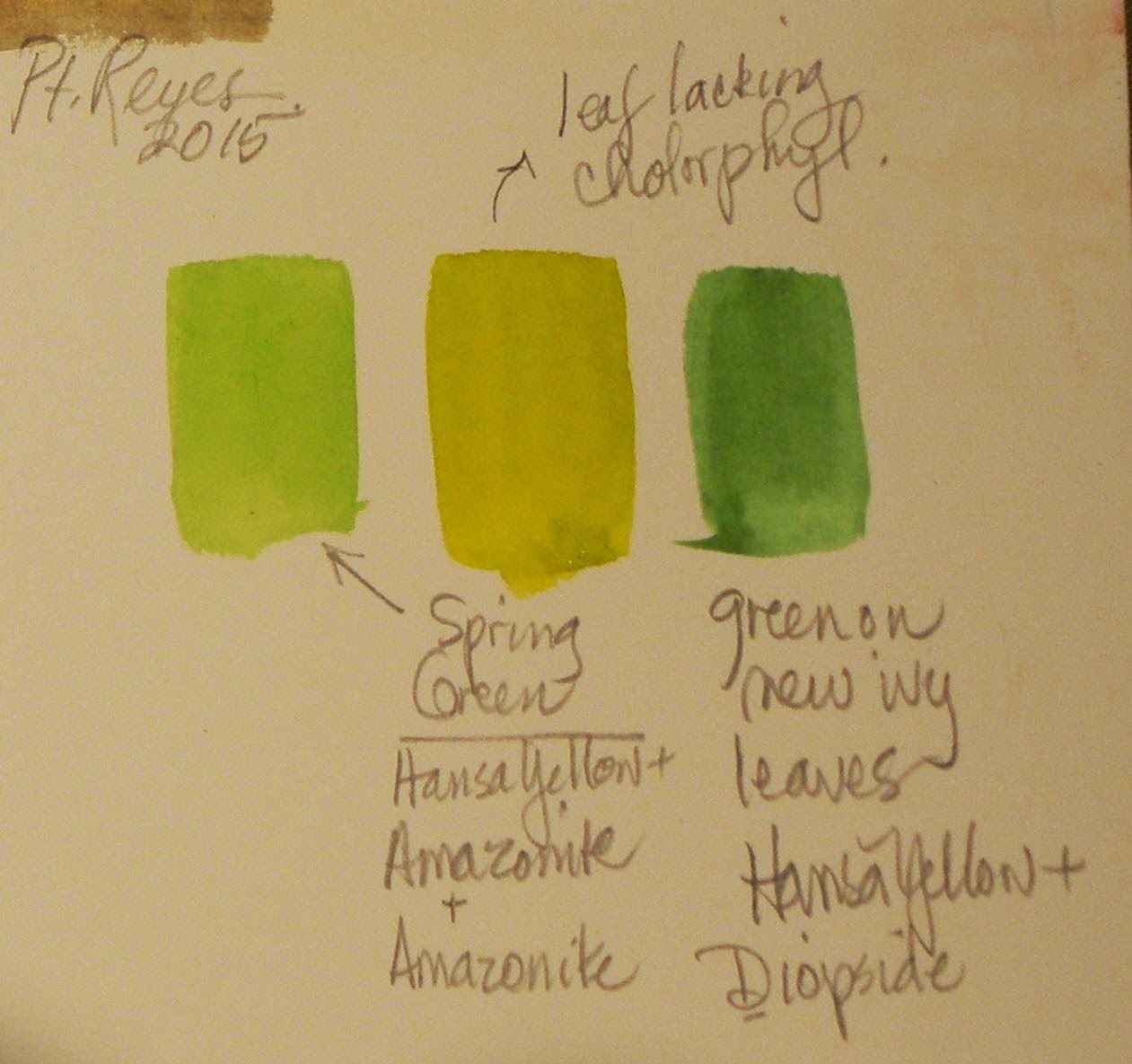 Postcards in the Air : FINDING PURPLE AND YELLOW